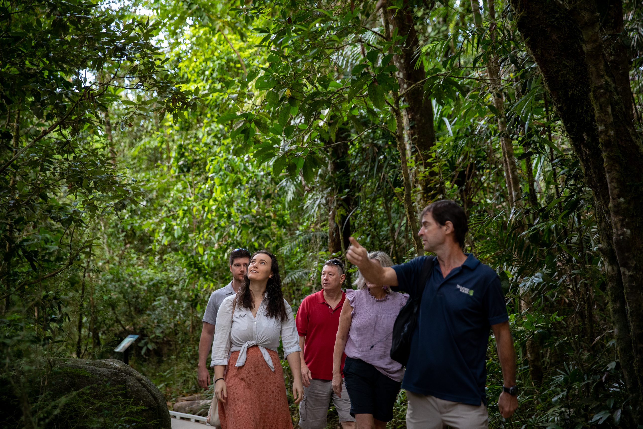 Daintree Tour | Guided Rainforest Walking Tour | Port Douglas