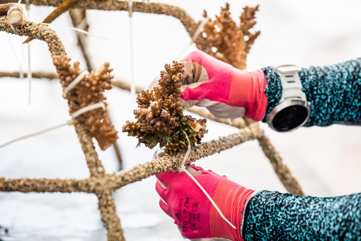 Great Barrier Reef Tour | Reef Magic | Cairns Newest Pontoon